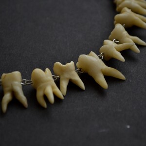 Gothic Teeth Choker, Human Tooth Necklace, Handmade Molars, Oddities ...