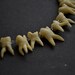 Gothic Teeth Choker, Human Tooth Necklace, Handmade Molars, Oddities ...