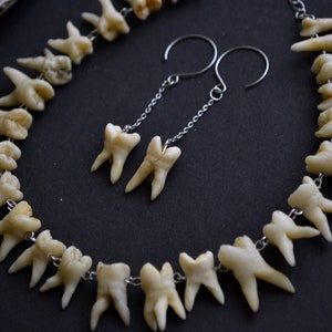 Gothic Teeth Choker, Human Tooth Necklace, Handmade Molars, Oddities ...