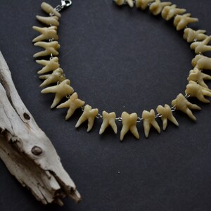 Gothic Teeth Choker, Human Tooth Necklace, Handmade Molars, Oddities ...