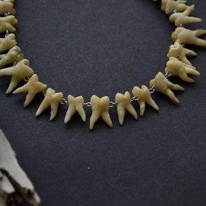 Gothic Teeth Choker, Human Tooth Necklace, Handmade Molars, Oddities ...