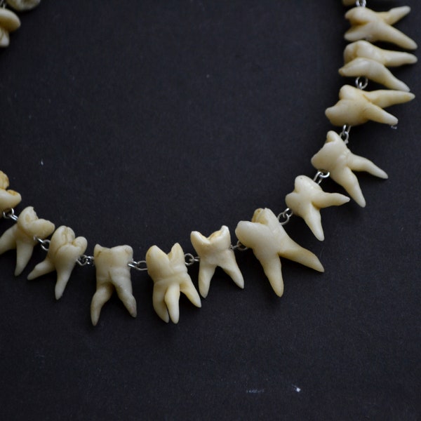 Human Tooth Necklace - Etsy