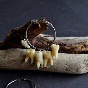 Gothic Teeth Earrings, Dangling Human Tooth, Handmade Molars, Oddities ...