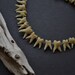 Gothic Teeth Choker, Human Tooth Necklace, Handmade Molars, Oddities ...