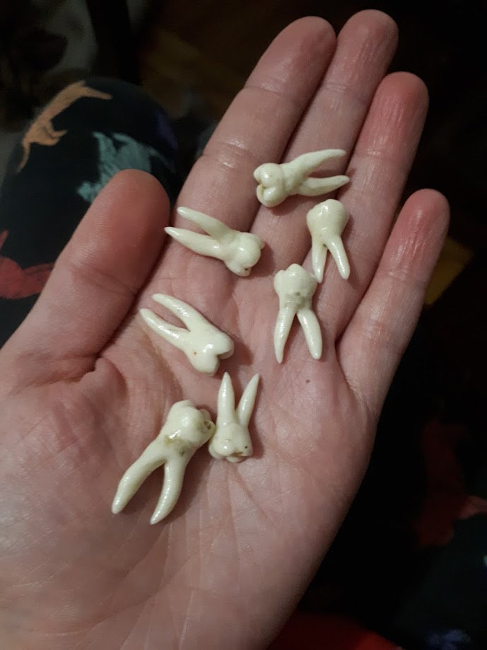 Gothic Teeth Necklace Human Tooth on Silver Chain Handmade - Etsy UK