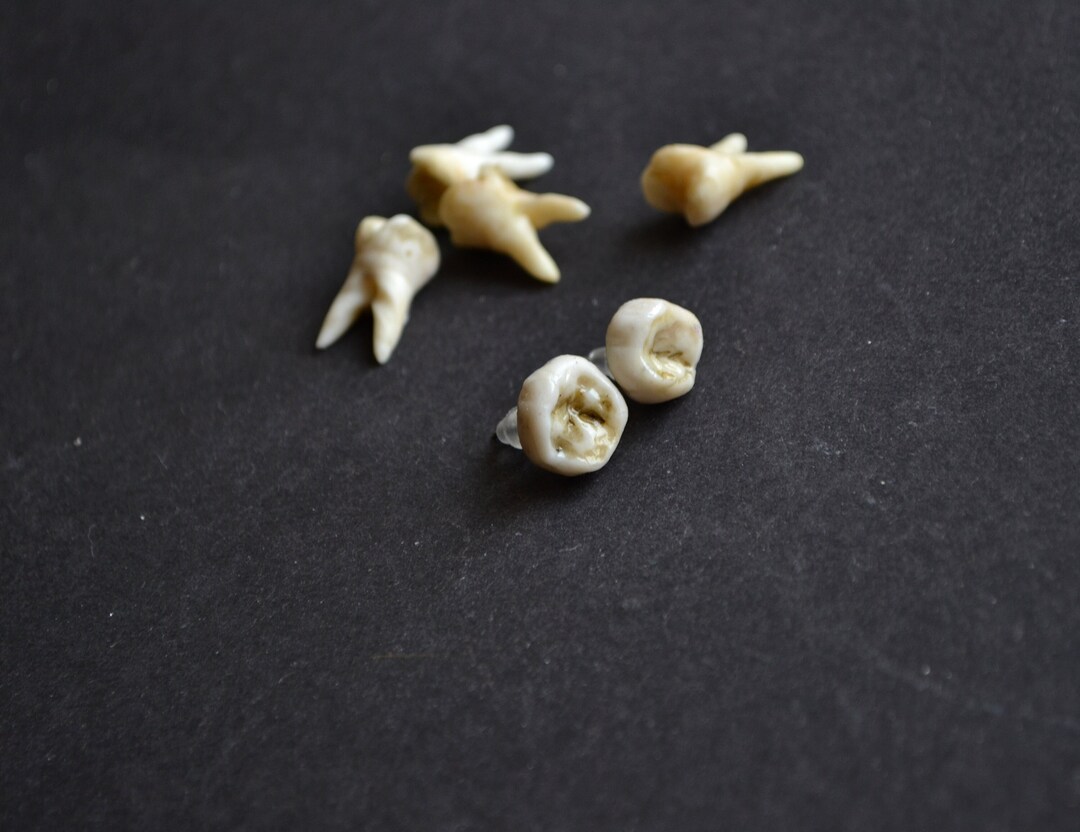 Gothic Teeth Stud Earrings, Realistic Human Tooth, Handmade Molars ...