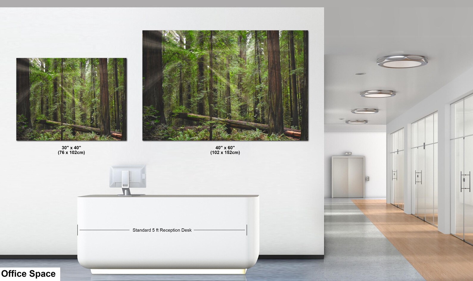 Walking Among the Redwoods, the Redwood National Park Print, Redwood ...