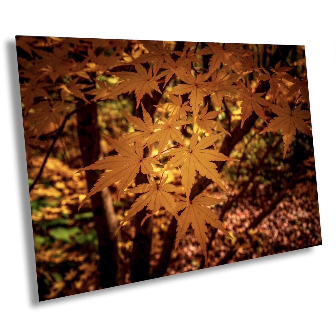 Golden Maple, Leaves Art Decor, Yellow Leaf Wall Art, Yellow Artful ...