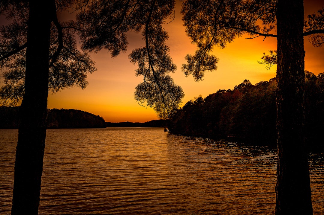 Sunset Through the Pines, Artful Art Wall Art, Lake Print-wall Art ...
