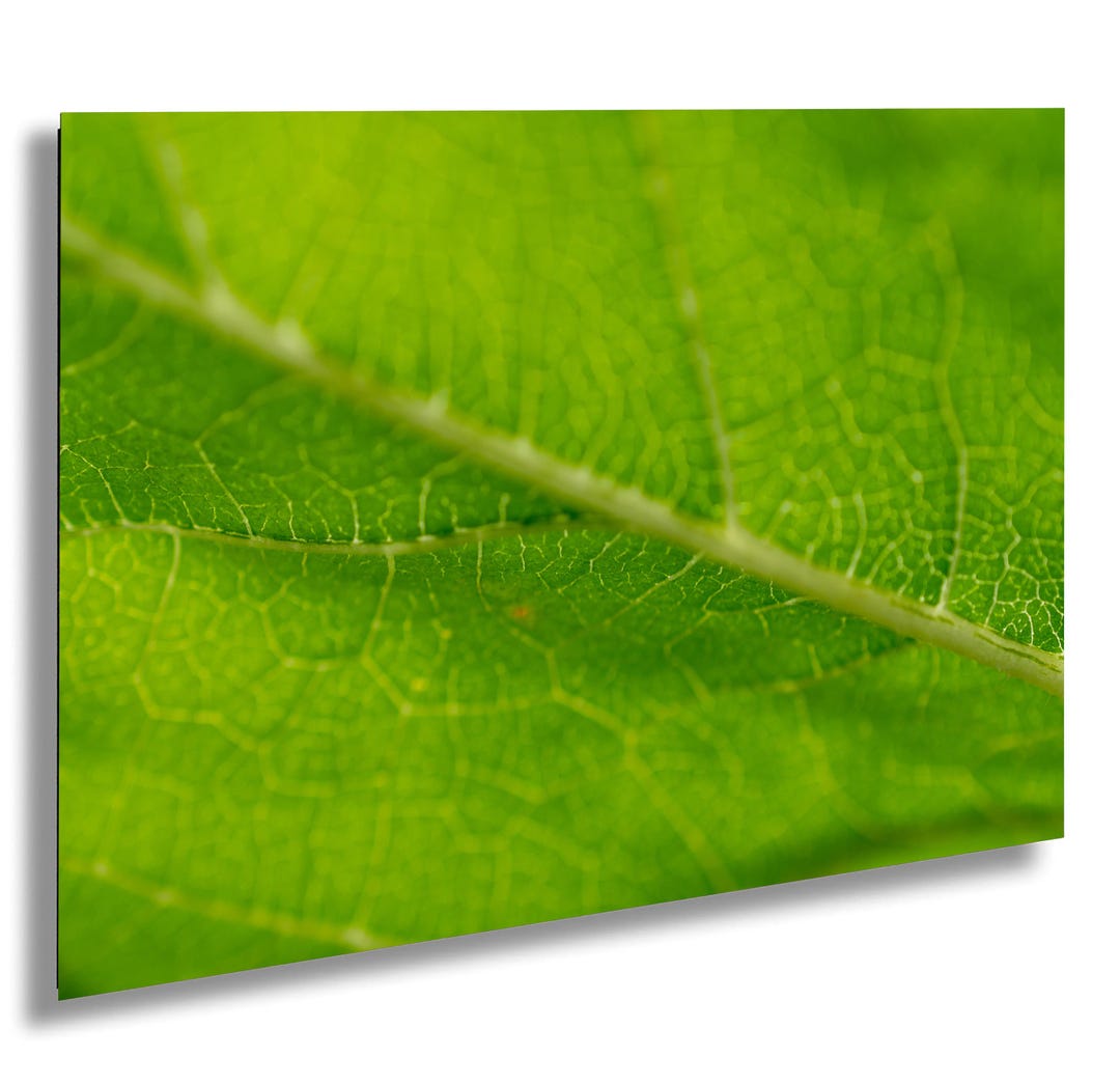 Macro Bright Green Leaf Poster, Bright Green Leaf Wall Art, Bright ...