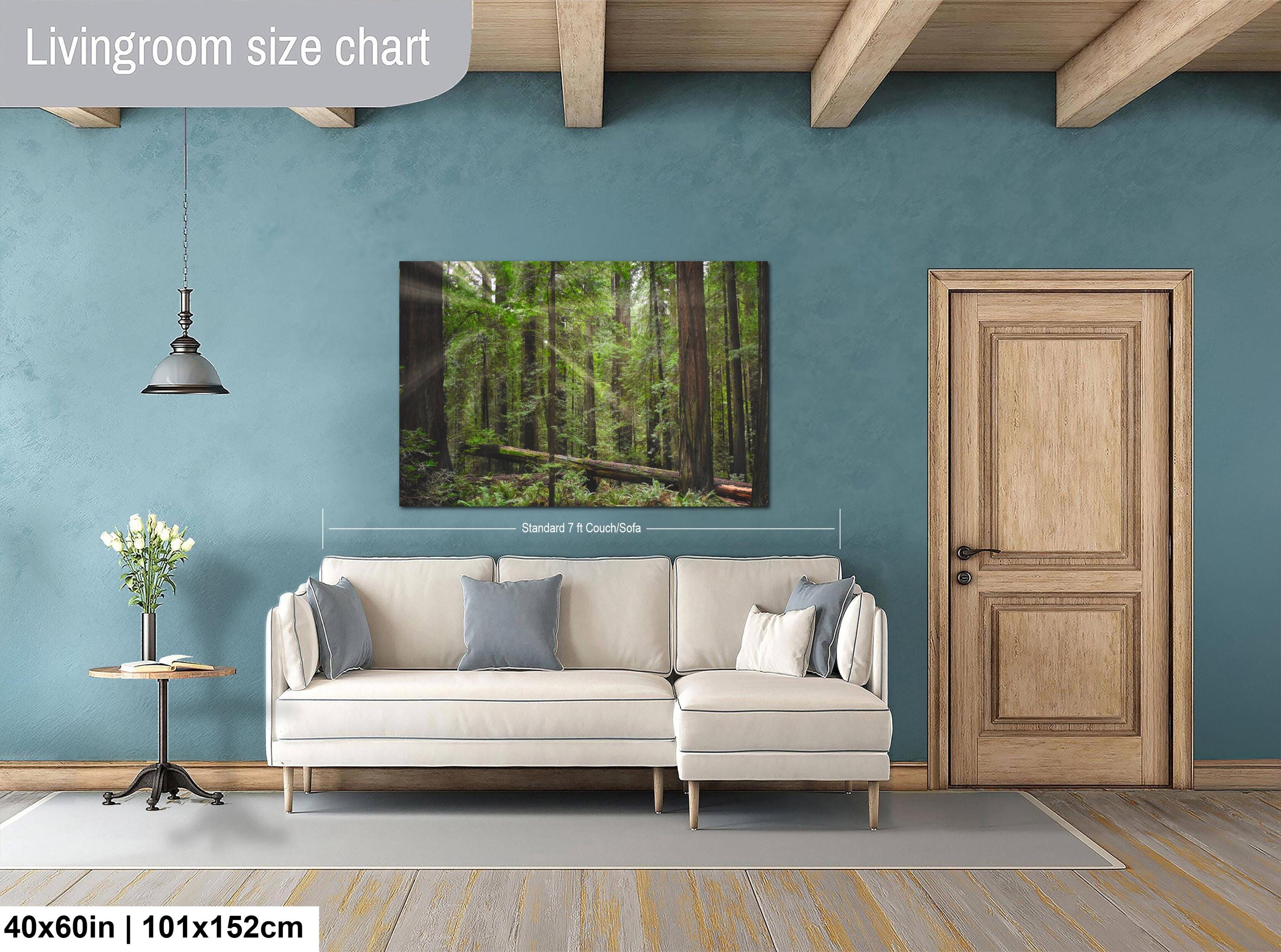 Walking Among the Redwoods, the Redwood National Park Print, Redwood ...