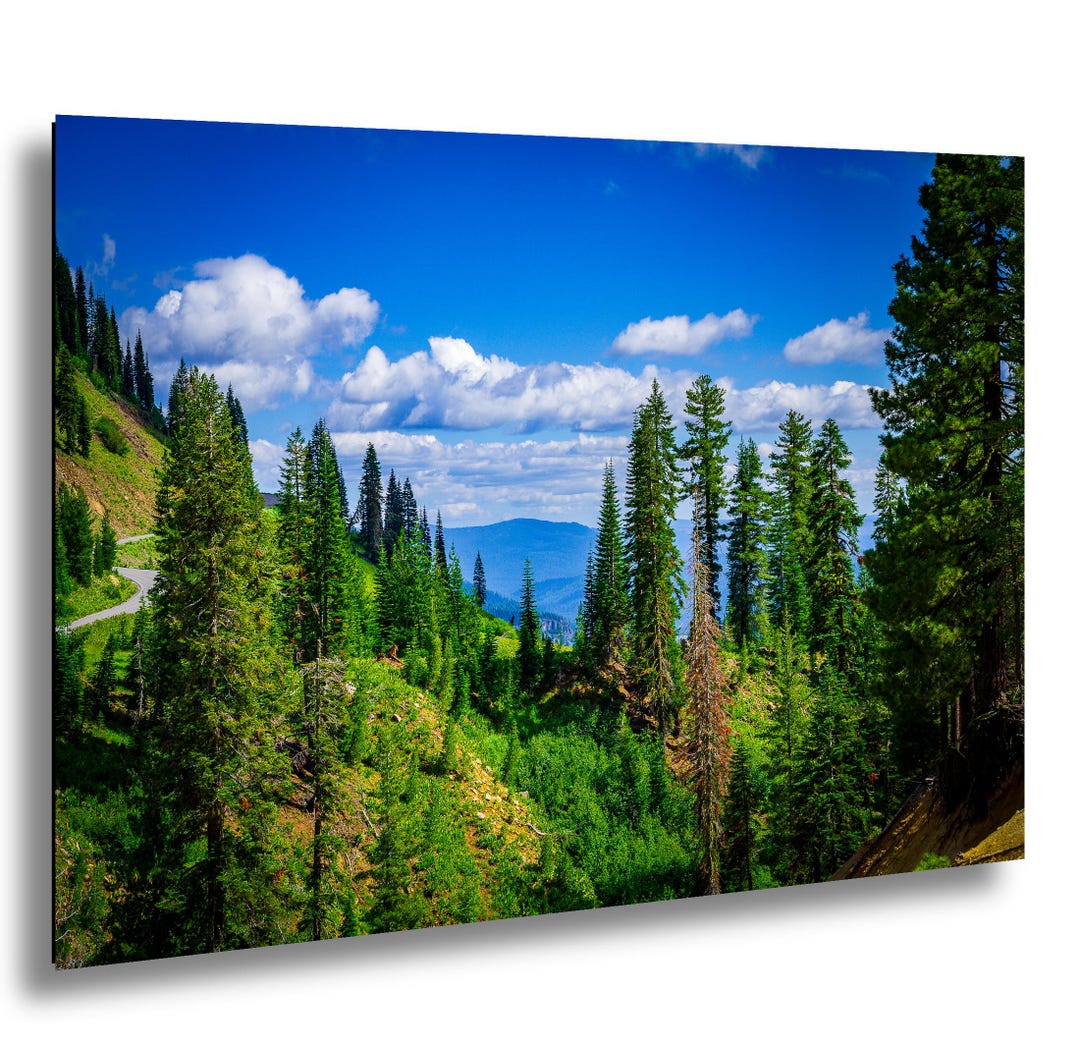 Lassen National Park Print, Scenic Forest Landscape Wall Art - Etsy