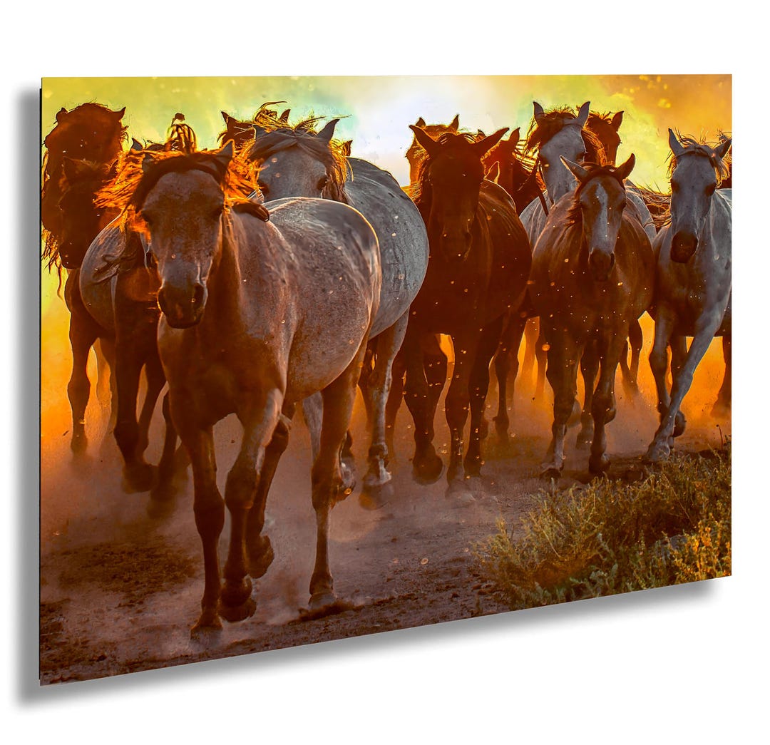Golden Stampede, Wild Horse Wall Art, Utah Landscape, Horse Photography ...