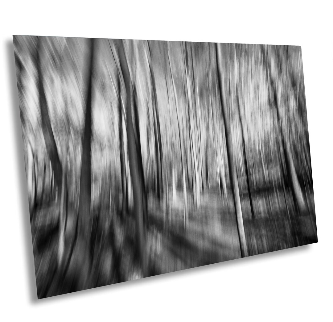The Mind is Racing, Trees, Forest Wall Art, Tree Home Decor, Trees ...