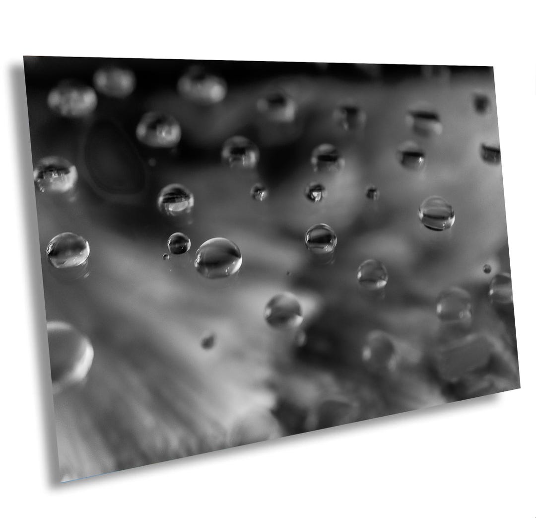 Whispers of Rain, Water Abstract Art, Colorless Raindrops Wall Hanging ...