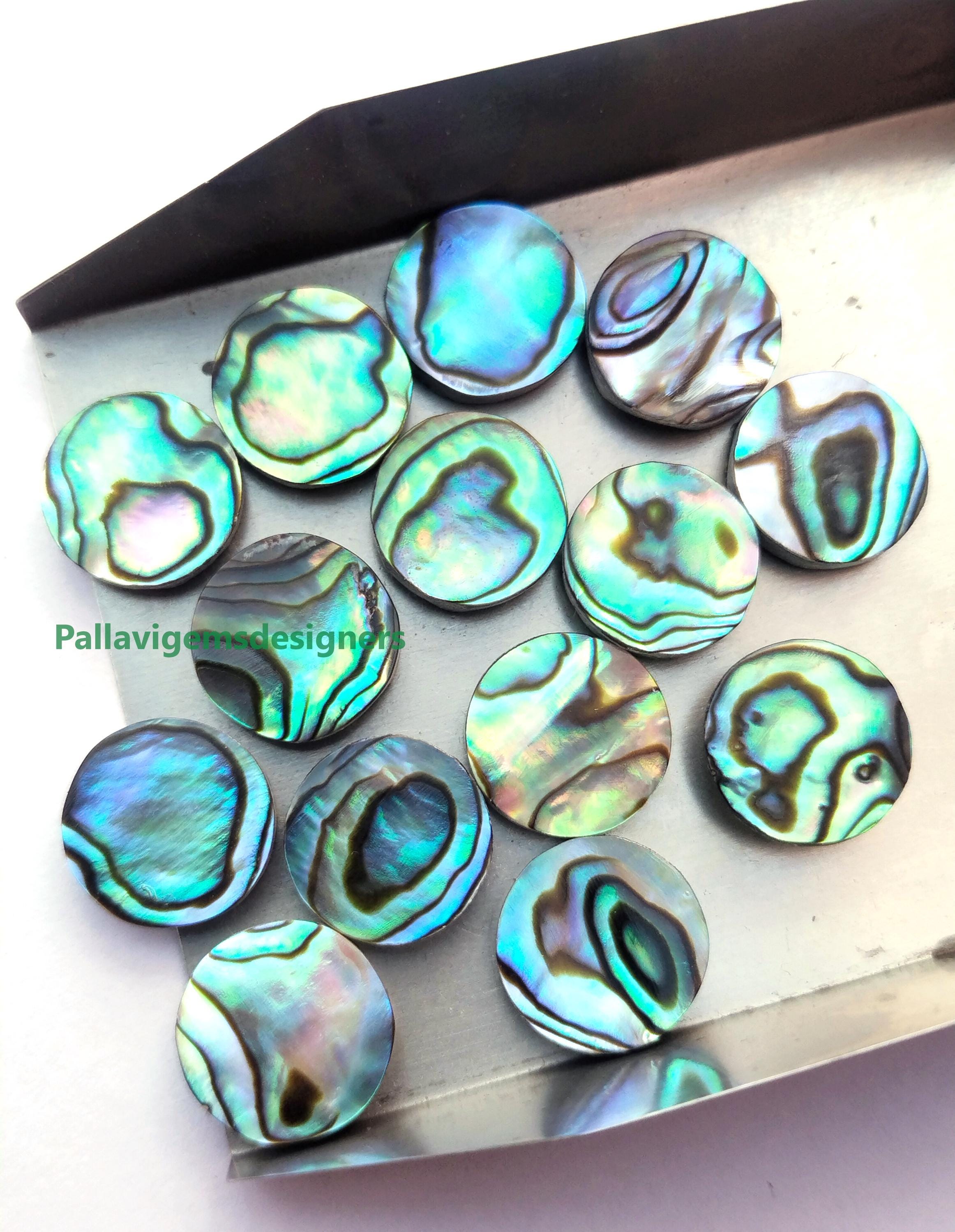 Natural Abalone Shell Coin Both Side Flat Round Discs Shape Gemstone 6 ...