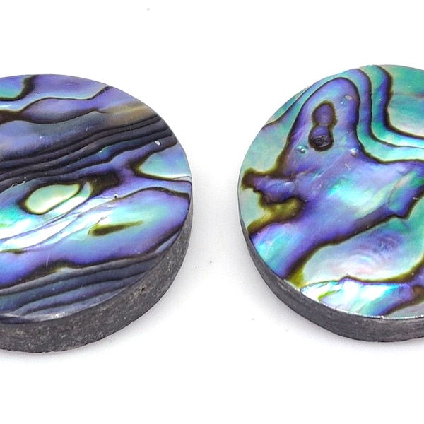 Blue Abalone Shell - Etsy