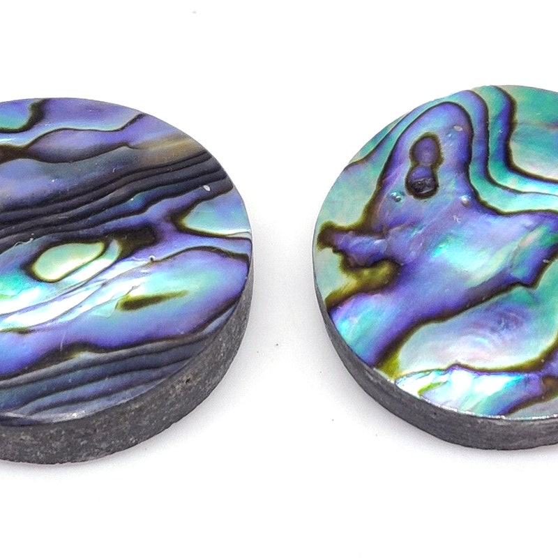 Abalone Buttons - Etsy