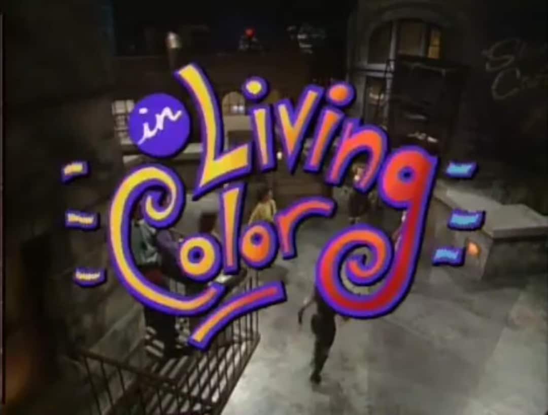 In Living Color TV Series Show Complete - Etsy