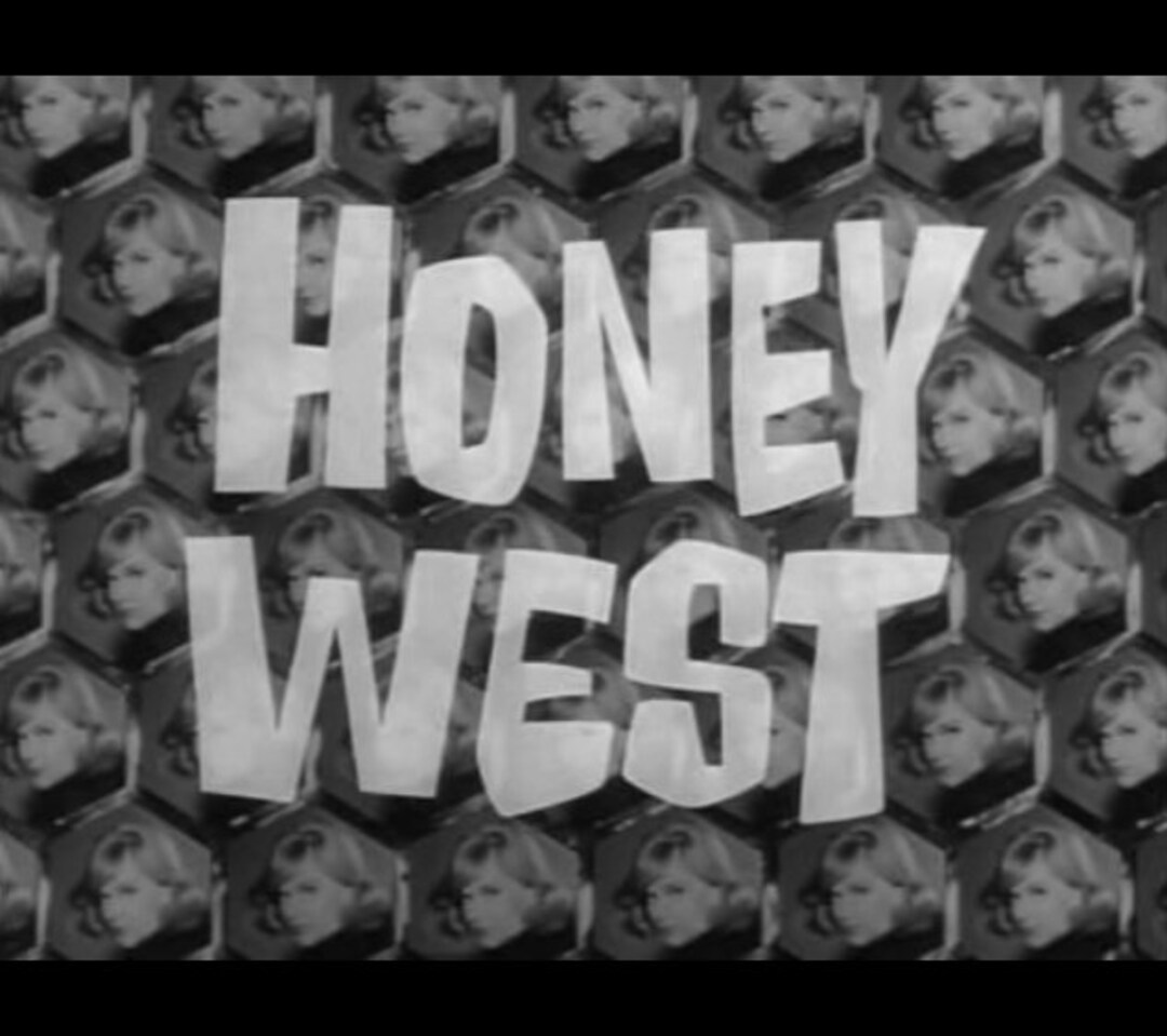 Honey West TV Series Show Full Episodes 1965 1966 - Etsy
