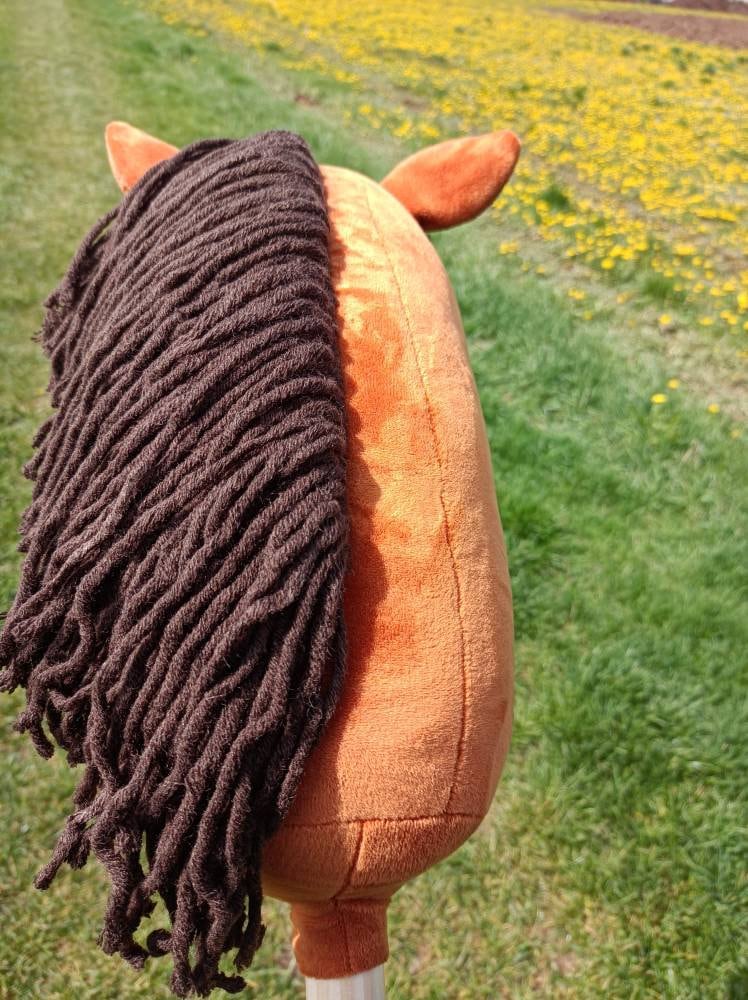 Buy Hobby Horse Hobby Horse fallada I Online in India - Etsy