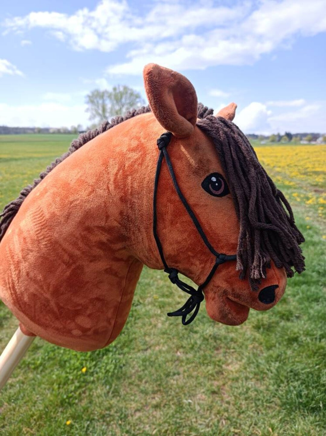 Buy Hobby Horse Hobby Horse fallada I Online in India - Etsy