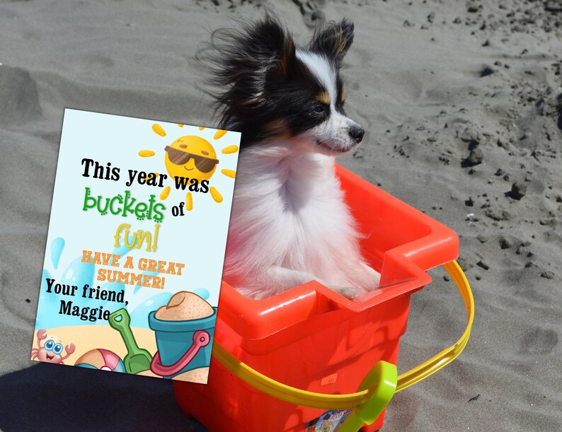 Editable This Year Was Buckets of Fun Have a Great Summer Tag, End of ...