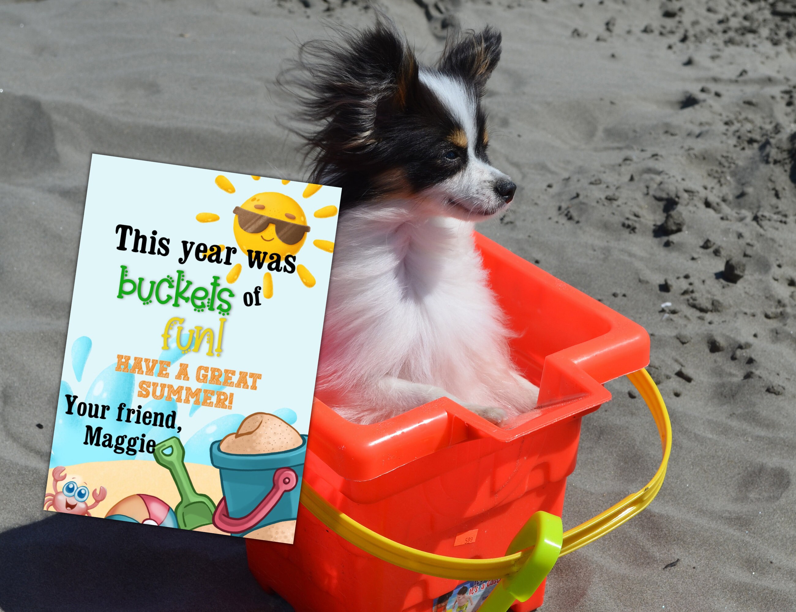 Editable This Year Was Buckets of Fun Have a Great Summer Tag, End of ...