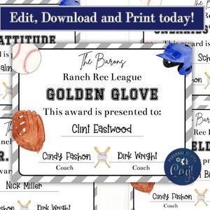 Editable Baseball Award Certificates, Baseball End of Season Awards 2 ...