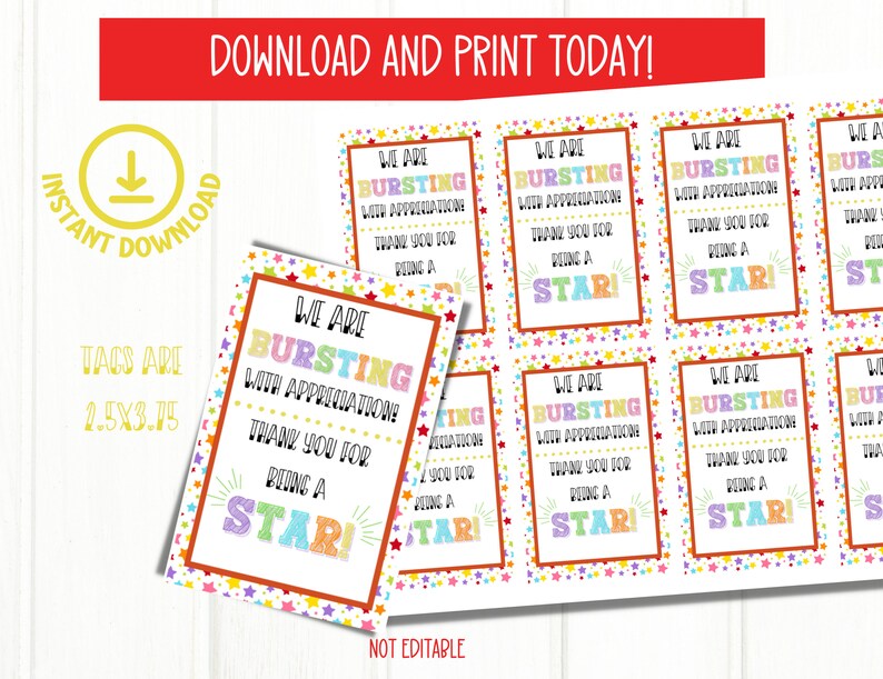 Thank You for Being a Star, Employee Appreciation, Teacher Appreciation ...