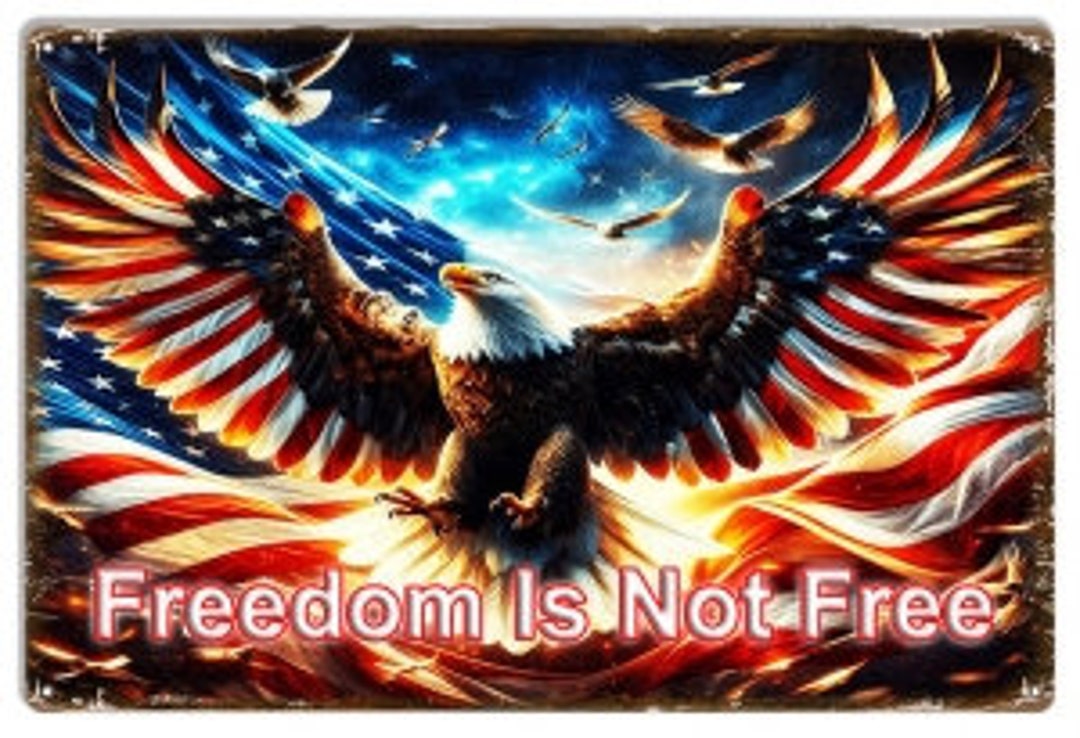 Freedom is Not Free 12x18 Metal Sign - Etsy