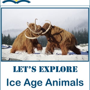 Let's Explore Ice Age Animals Linked Lapbook - Etsy