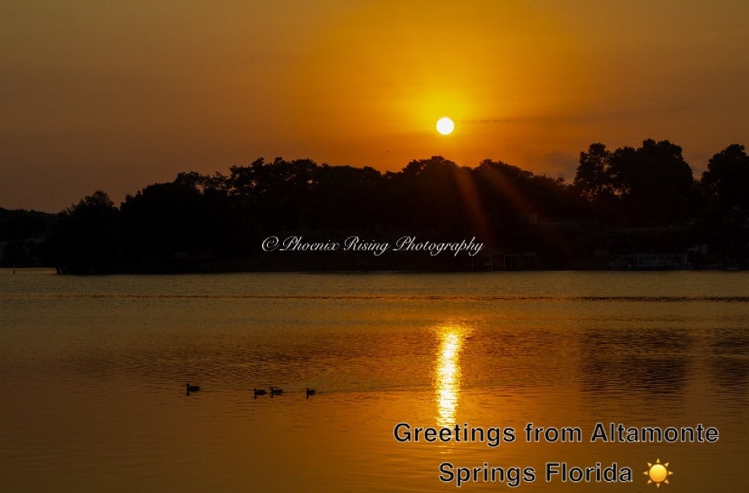 Florida Post Cards - Etsy