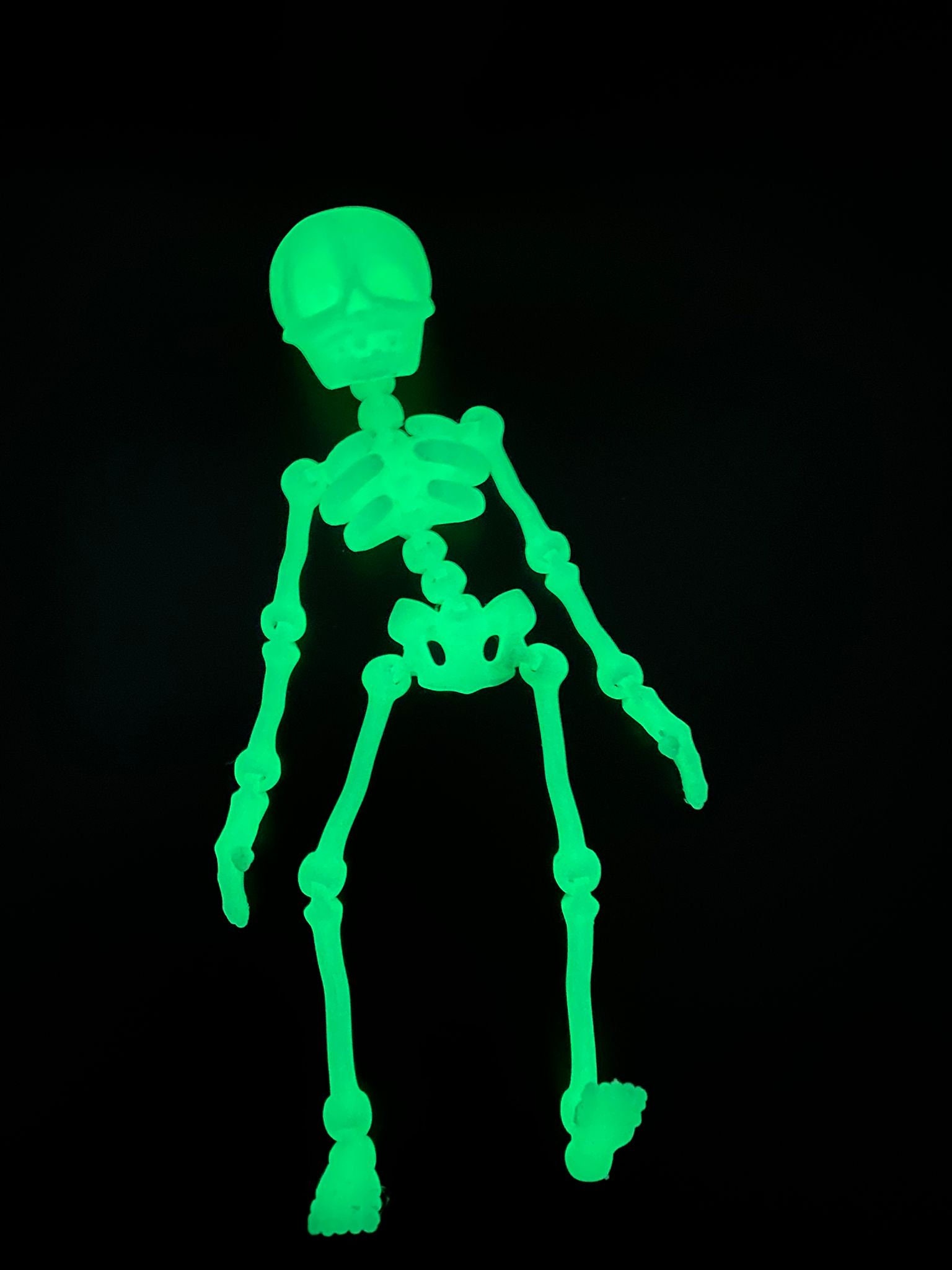Flexi Skeleton | Hanging Skeleton | Glow in the Dark | Funny ...