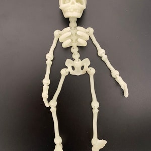 Flexi Skeleton | Hanging Skeleton | Glow in the Dark | Funny ...