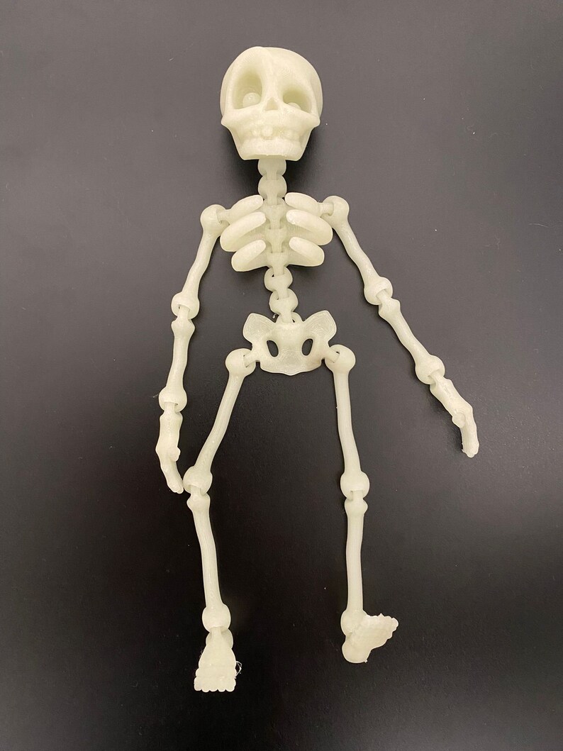 Flexi Skeleton | Hanging Skeleton | Glow in the Dark | Funny ...