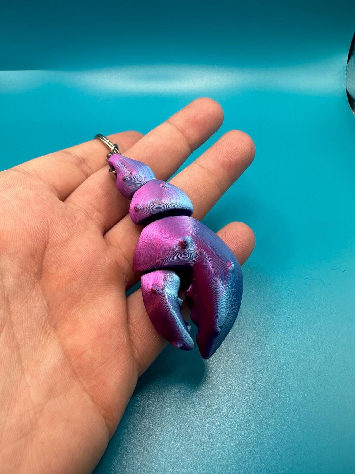 Matching Lobster Claw and Tail Keychains Articulated Keychain Lobster ...