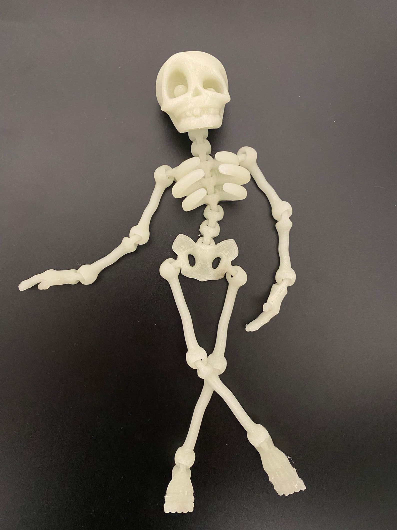 Flexi Skeleton | Hanging Skeleton | Glow in the Dark | Funny ...
