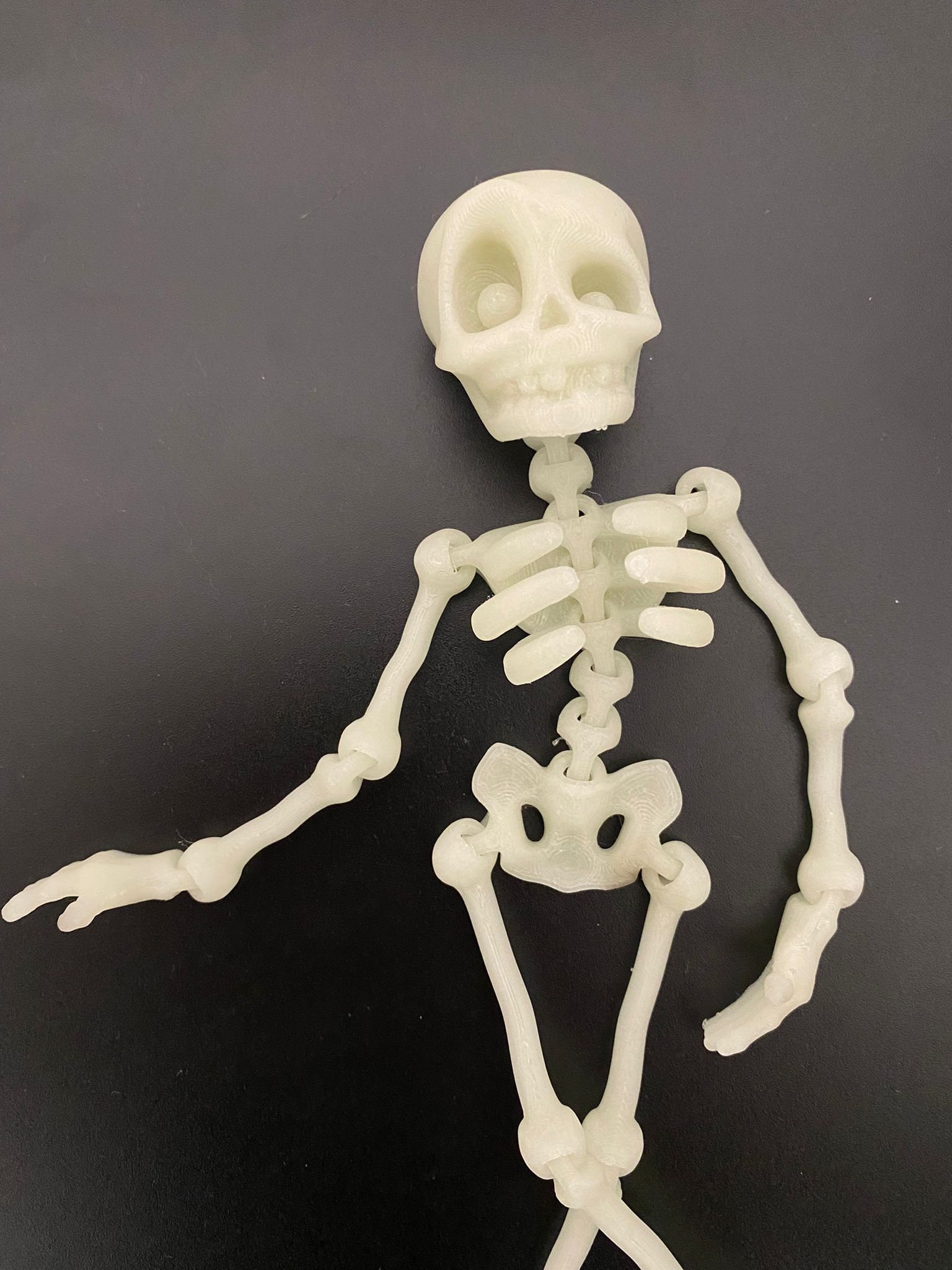 Flexi Skeleton | Hanging Skeleton | Glow in the Dark | Funny ...