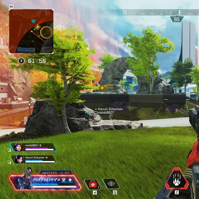 Animated Customisable WRAITH Banner Apex Legends Health Bar Overlay for ...