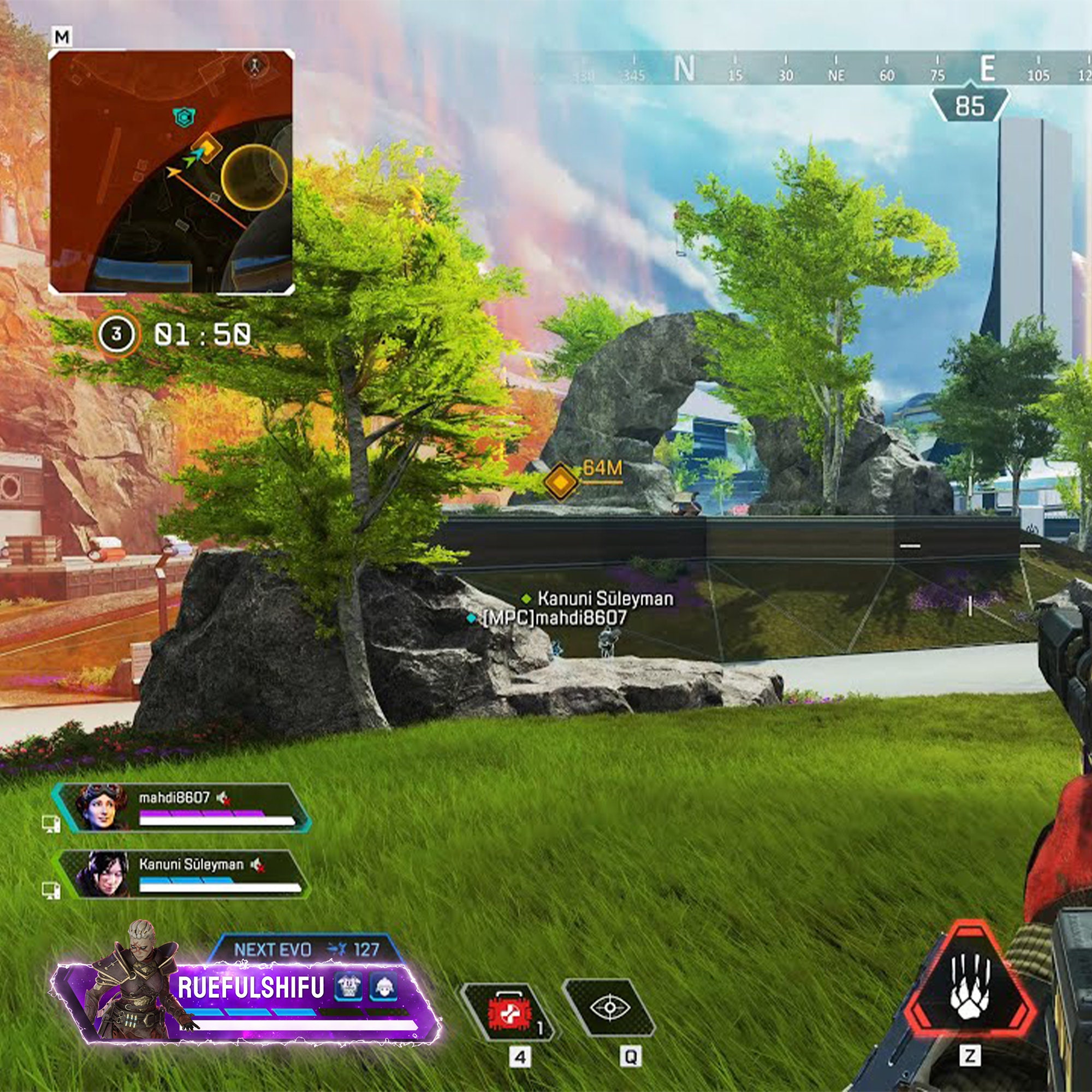 Animated Customisable WRAITH Banner | Apex Legends Health Bar Overlay ...