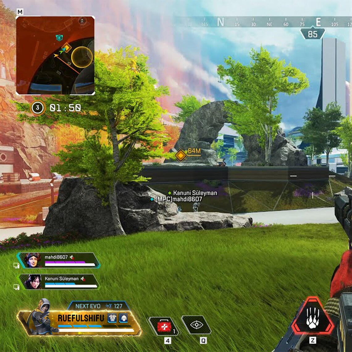 ANIMATED WRAITH Overlay Apex Legends Health Bar Overlay for Streaming ...