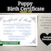 Printable Puppy Birth Certificate - Customize With Any Dog's Info, Easy ...