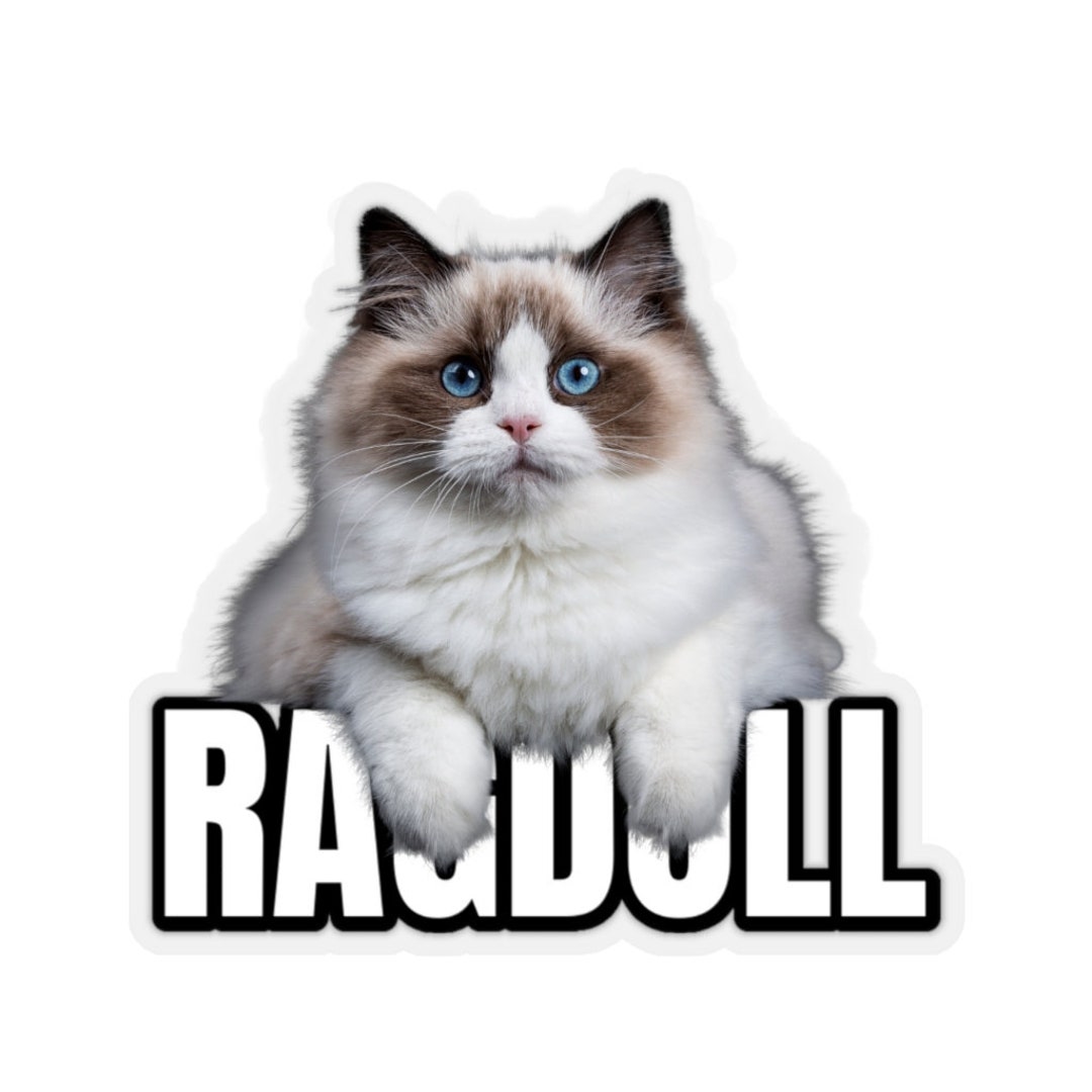 Ragdoll Cat Cute Sticker - Etsy