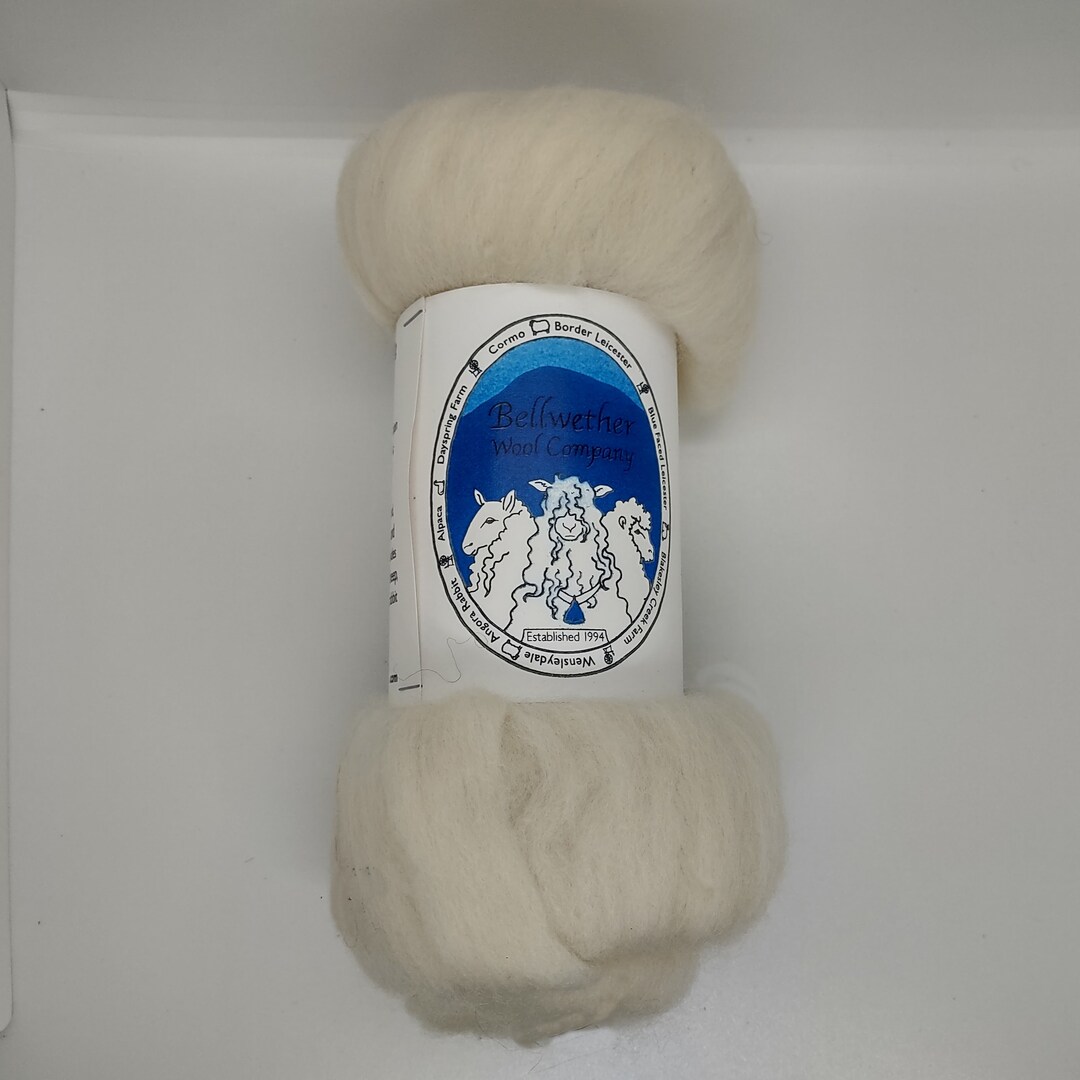 Falkland Wool Combed Top - White - Sheep Breed Study - Etsy