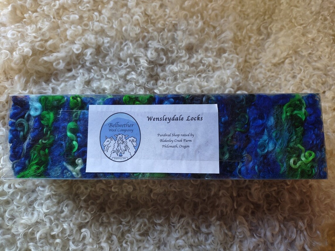 Hand Dyed Wensleydale Wool Locks - Mixed Colors - Etsy