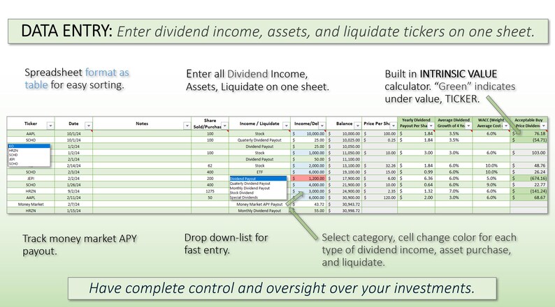 ULTIMATE Dividend & Stock Portfolio Tracker | 30 Positions - Etsy