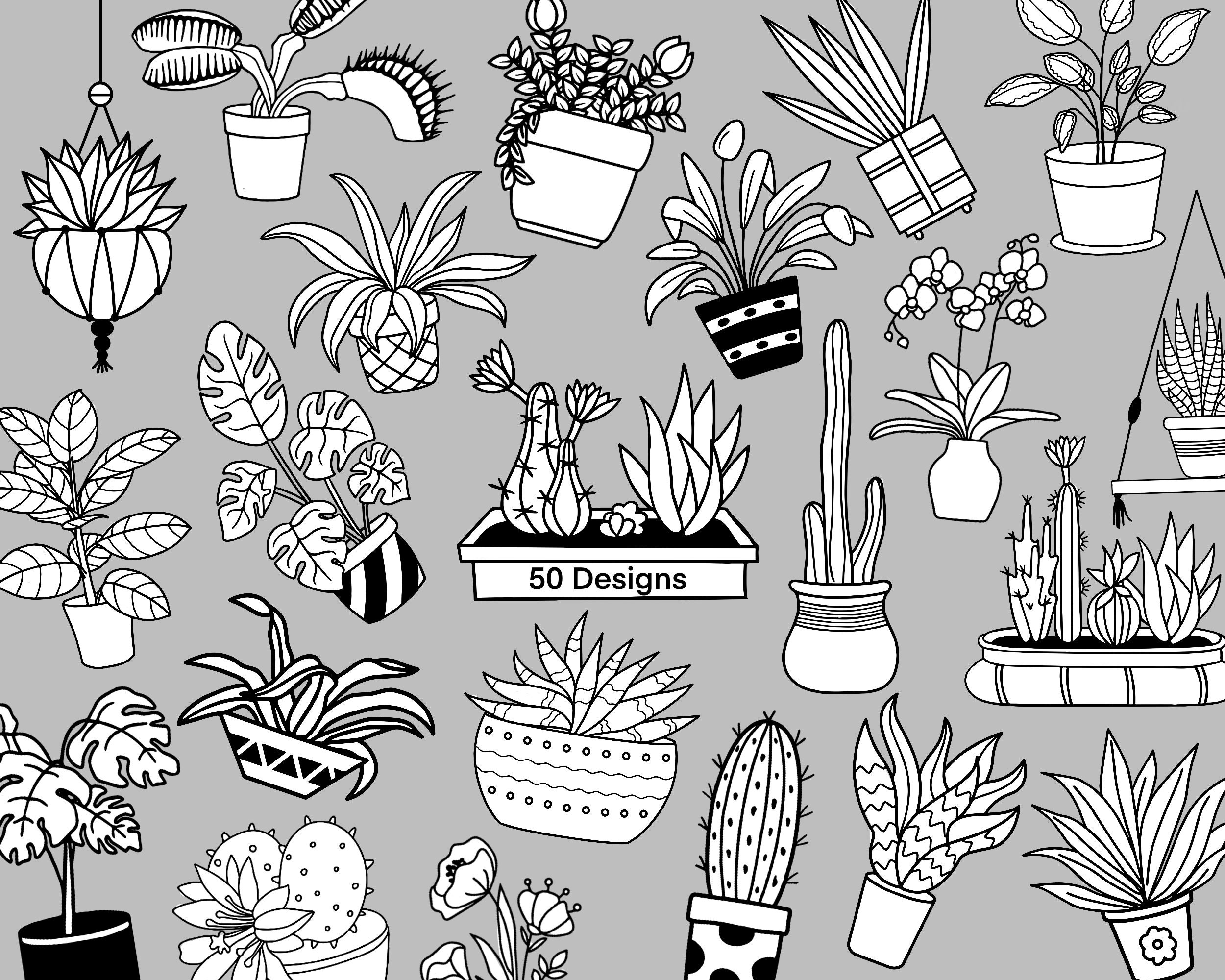 House Plant SVG Bundle Plant Svg Potted Plants Hanging - Etsy Canada