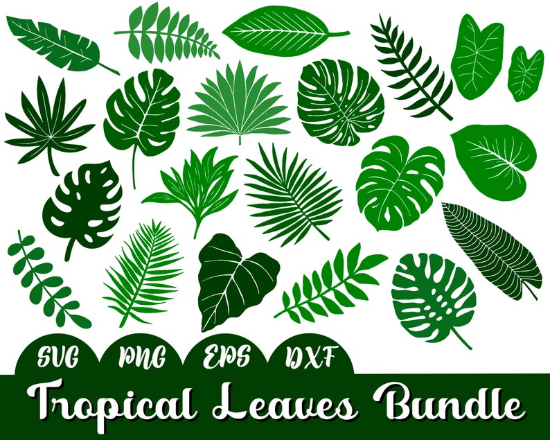 Tropical Leaves SVG Bundle, Leaves SVG, Tropical Svg, Svg Bundles ...
