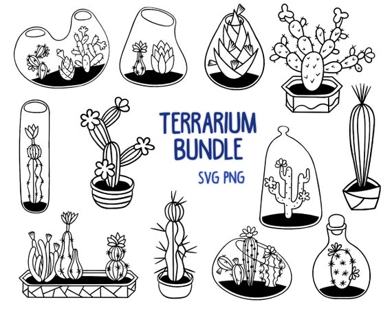 Terrarium Svg Bundle Plant Svgs Plant Png Cactus Svg - Etsy